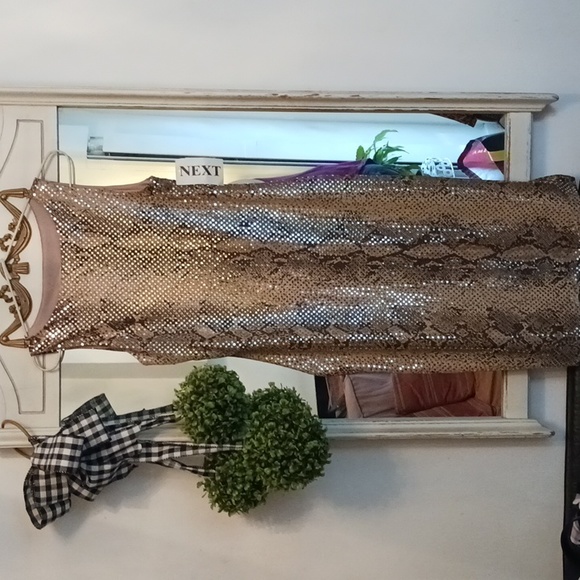 Zoom | Dresses | New Gorgeous Zoom Snake Print Shimmer Dress L | Poshmark